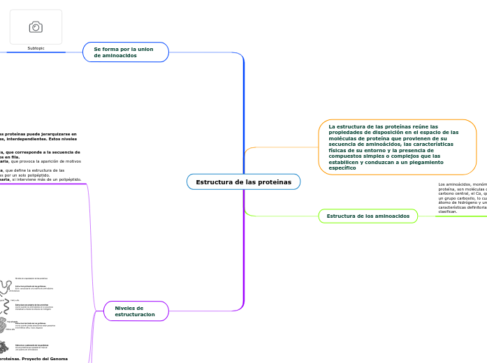 Estructura de las proteinas - Mind Map